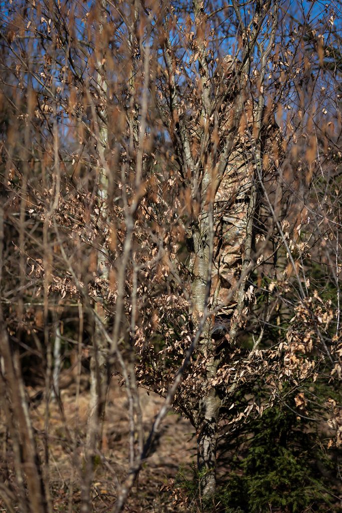 Brown – Concamo